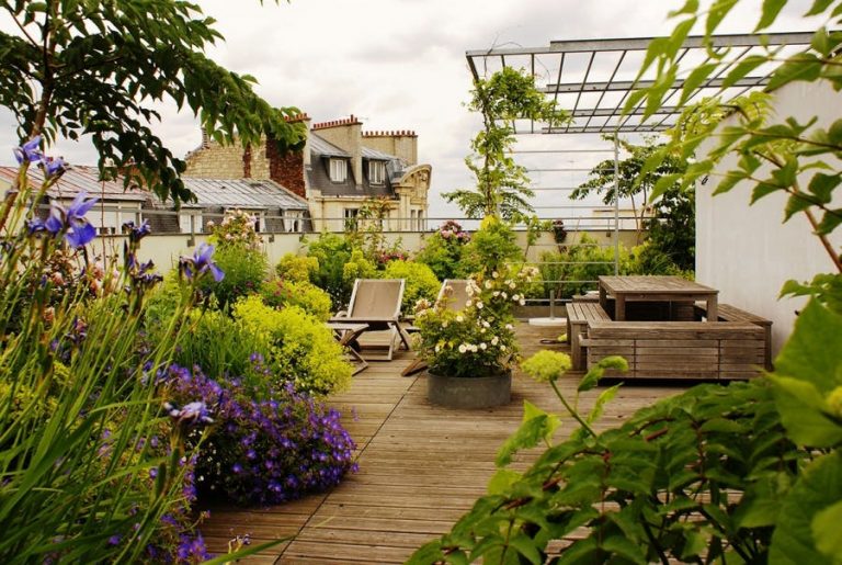 Jardins sur les toits et terrasses - Ô jardins